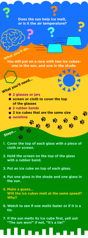 Ice Cube Race - FSEC®